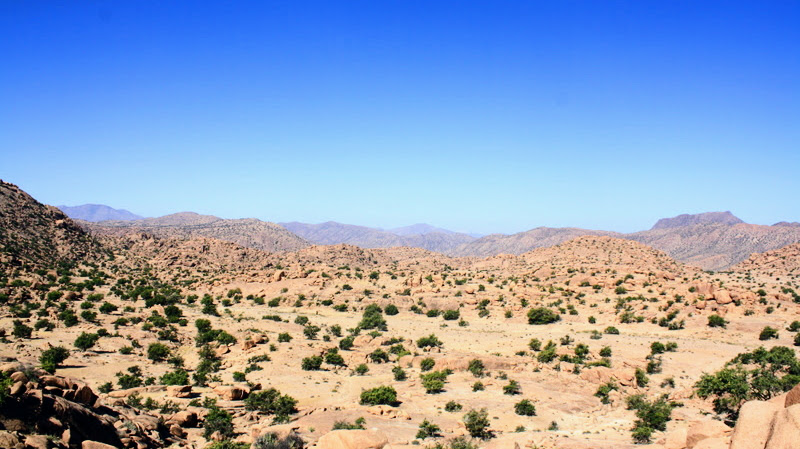 Unauthenticated Remote Code Execution Vulnerability In Netscaler Adc Formerly Citrix Adc And